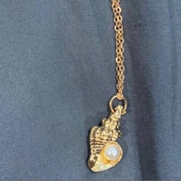 Jewelry | Pearl In A Triton Olive Trumpet Spindle Shell Murex Gold ...
